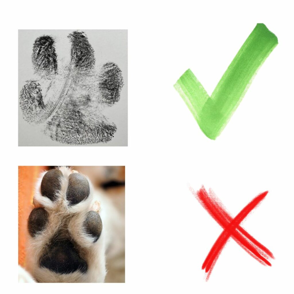 Engraved Paw Print Charm in Sterling Silver – Upload Your Image ...