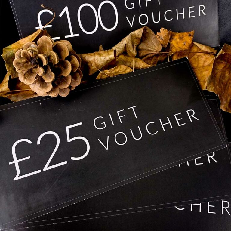 Tiny Golden Birthstone Drop Earrings - House of Alyssa Smith